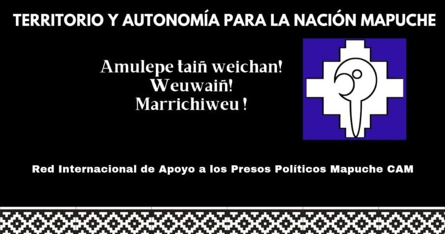 International Campaign in Support of the Mapuche People - Vocesenlucha